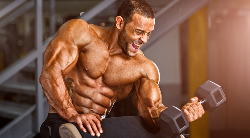 The Basics Of Testosterone Base JuicedMuscle